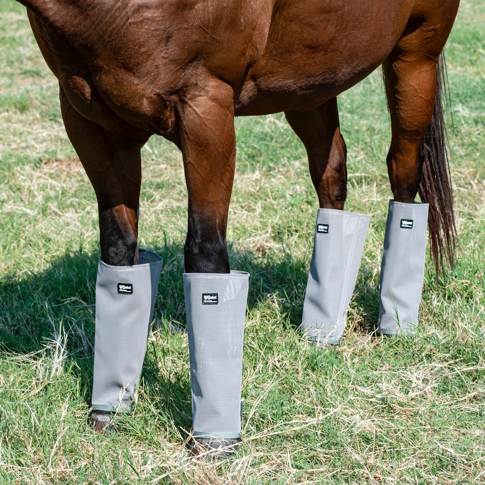Cashel Crusader Leg Guards – West 20 Saddle Co.