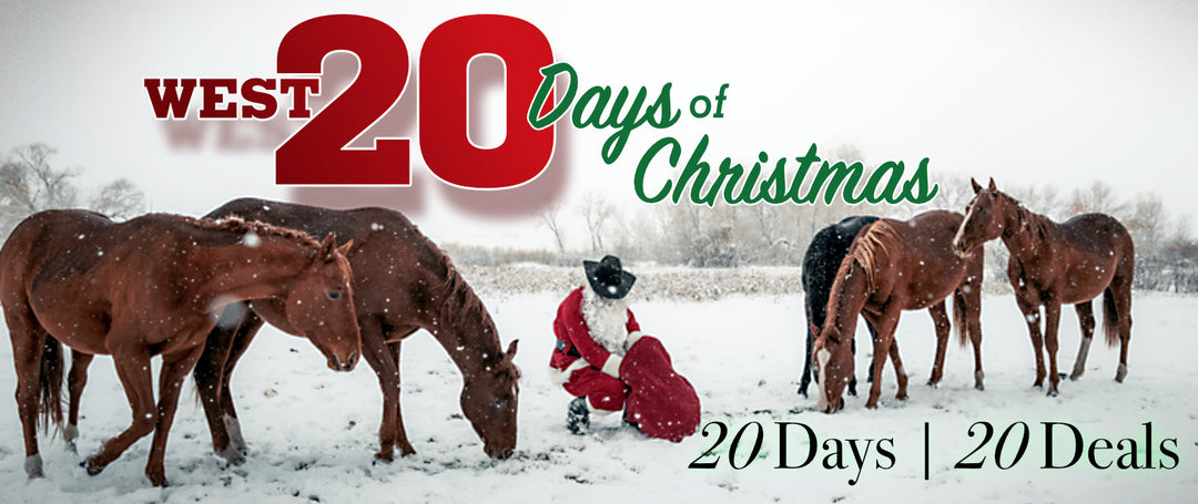 West 20 Ranch & Saddle Co – West 20 Saddle Co.