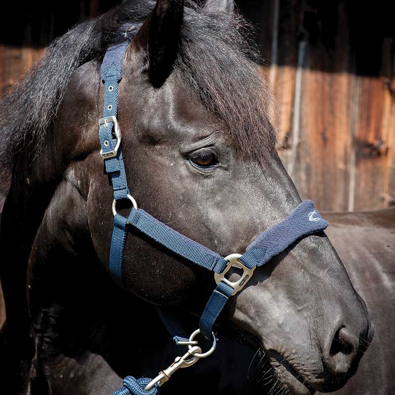 Padded Fleece Halter – West 20 Saddle Co.