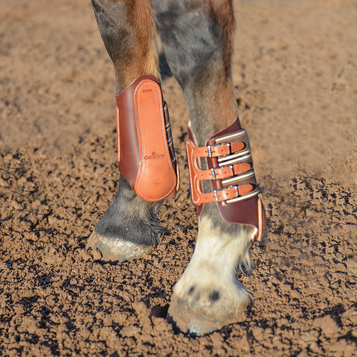 Classic Equine Leather Splint Boot – West 20 Saddle Co.