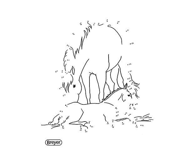 breyer coloring pages